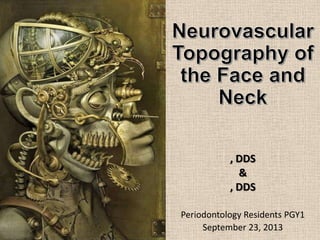 Neurovascular Topography Of The Face And Neck Neurovasculature of the ...