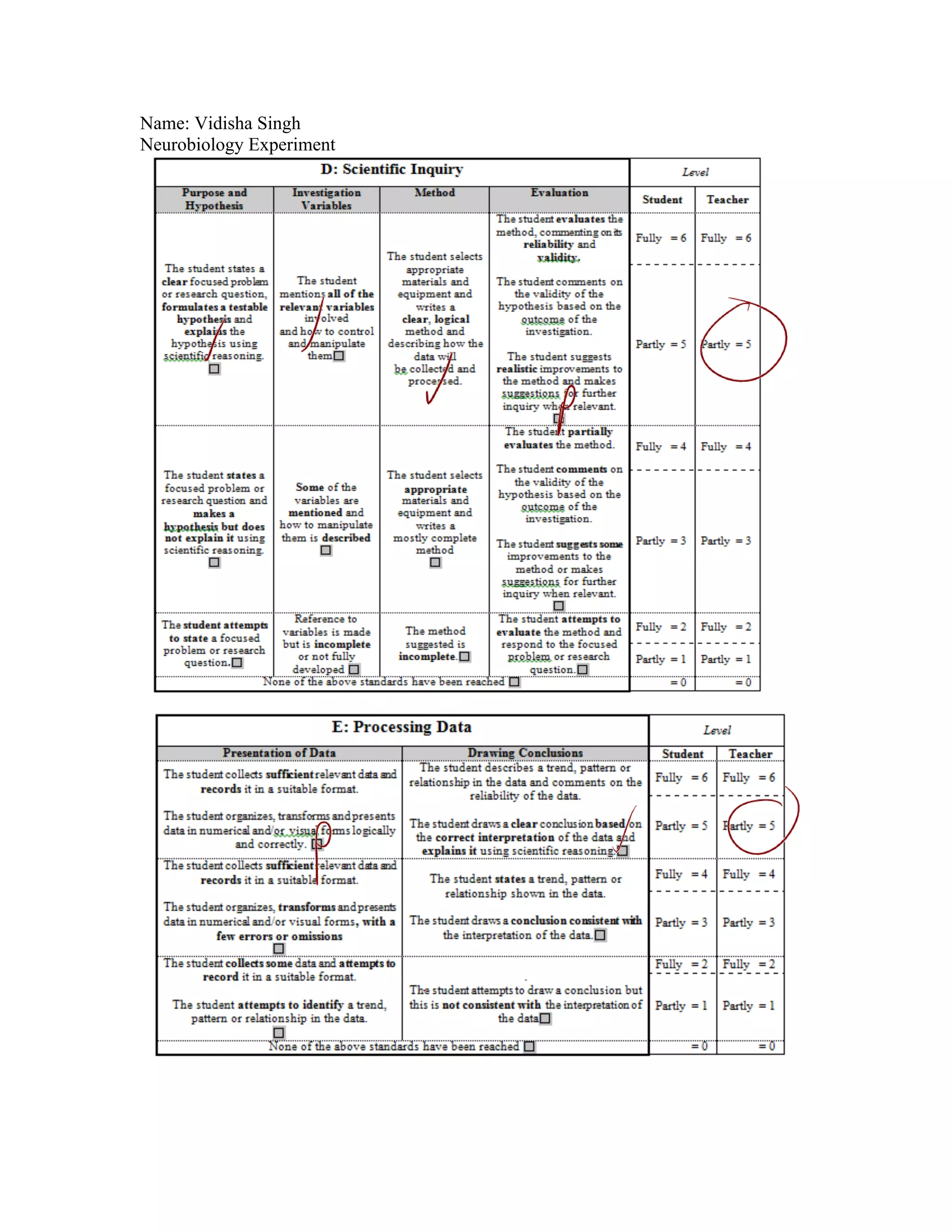 Neuro Lab Report | PDF