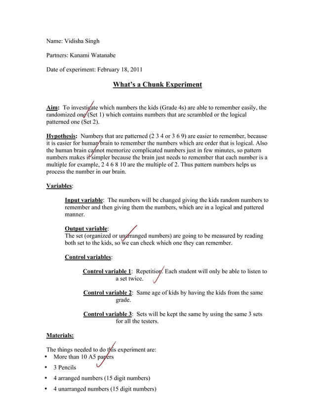 Neuro Lab Report | PDF