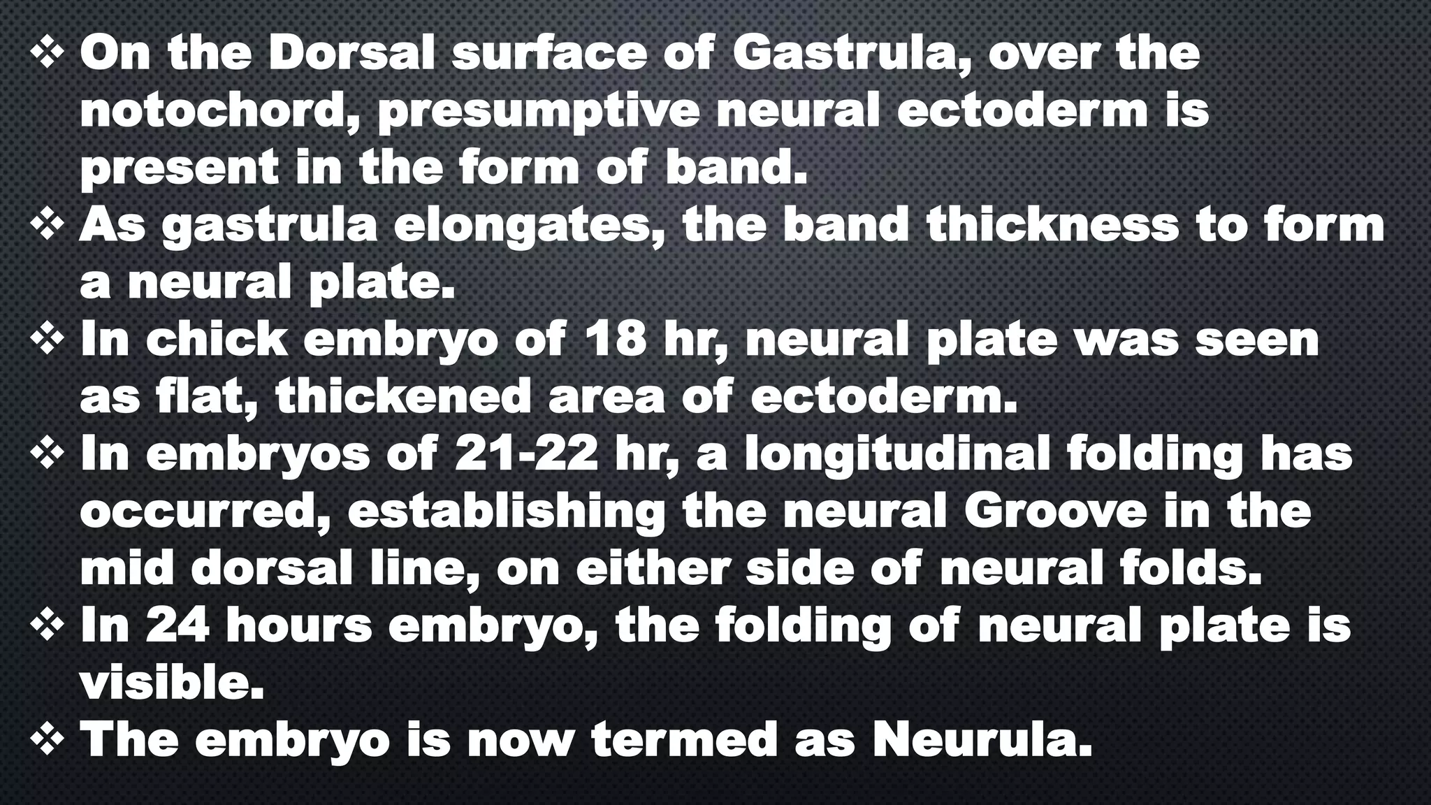 Neurulation in Chick Development | PPTX