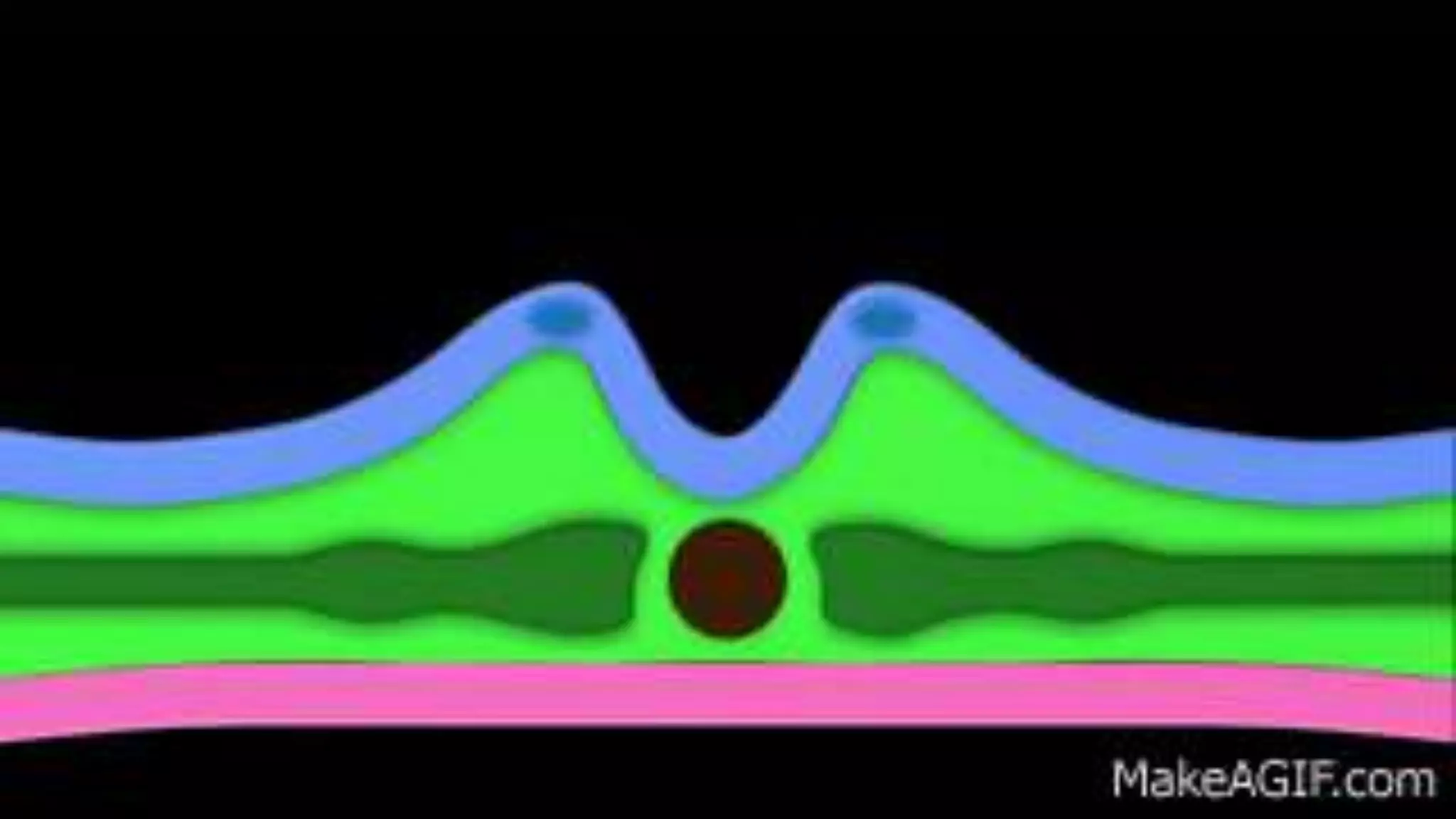 Neurulation in Chick Development | PPTX