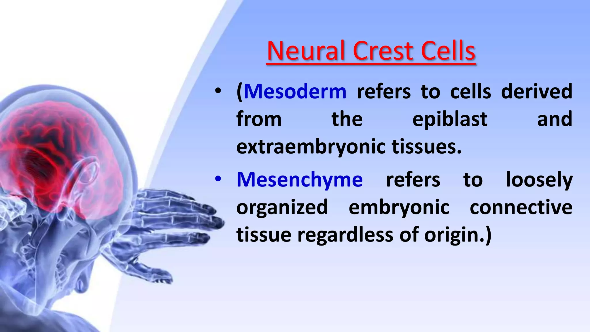Neurulation developmental biology | PPTX