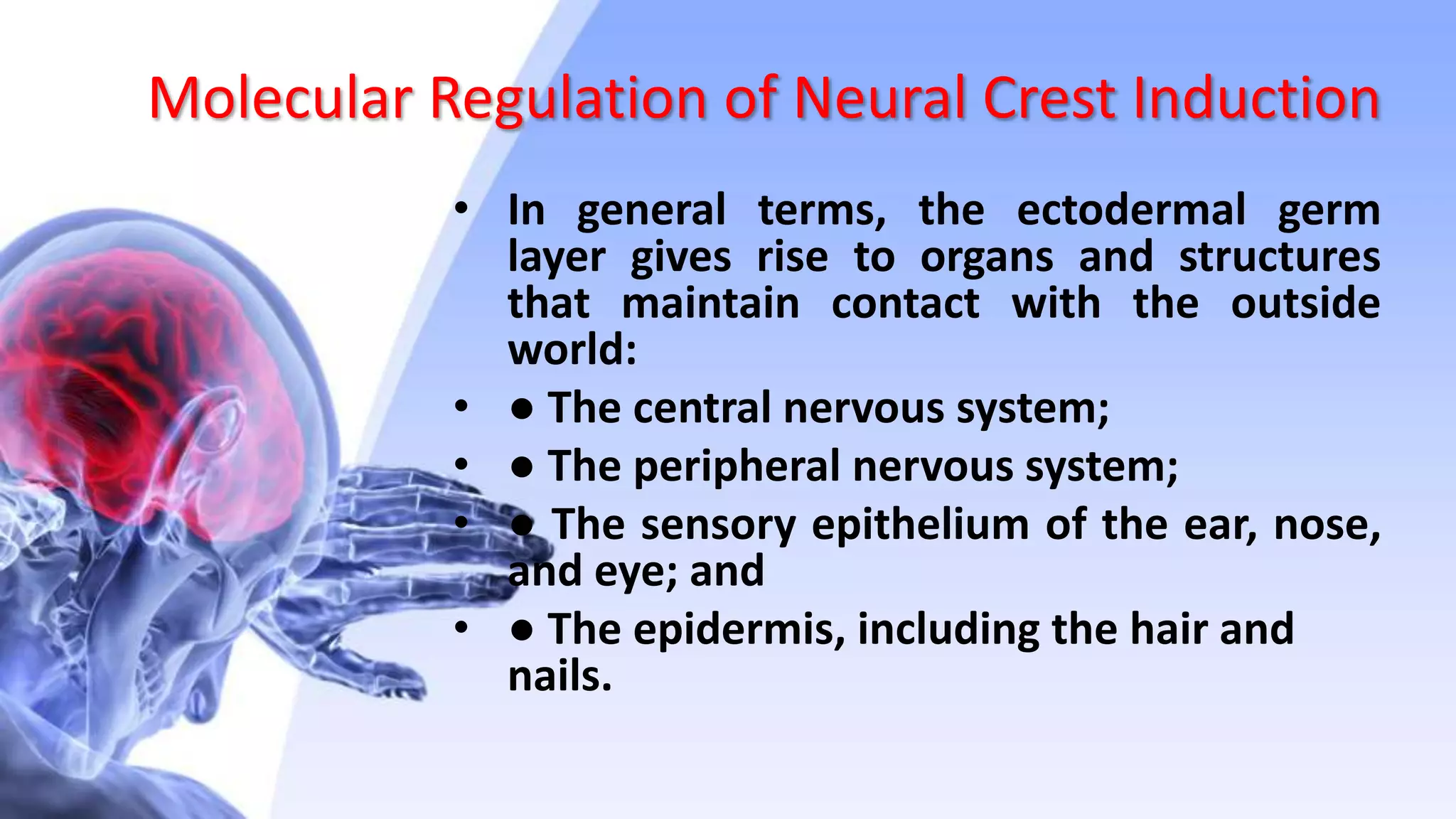 Neurulation developmental biology | PPTX