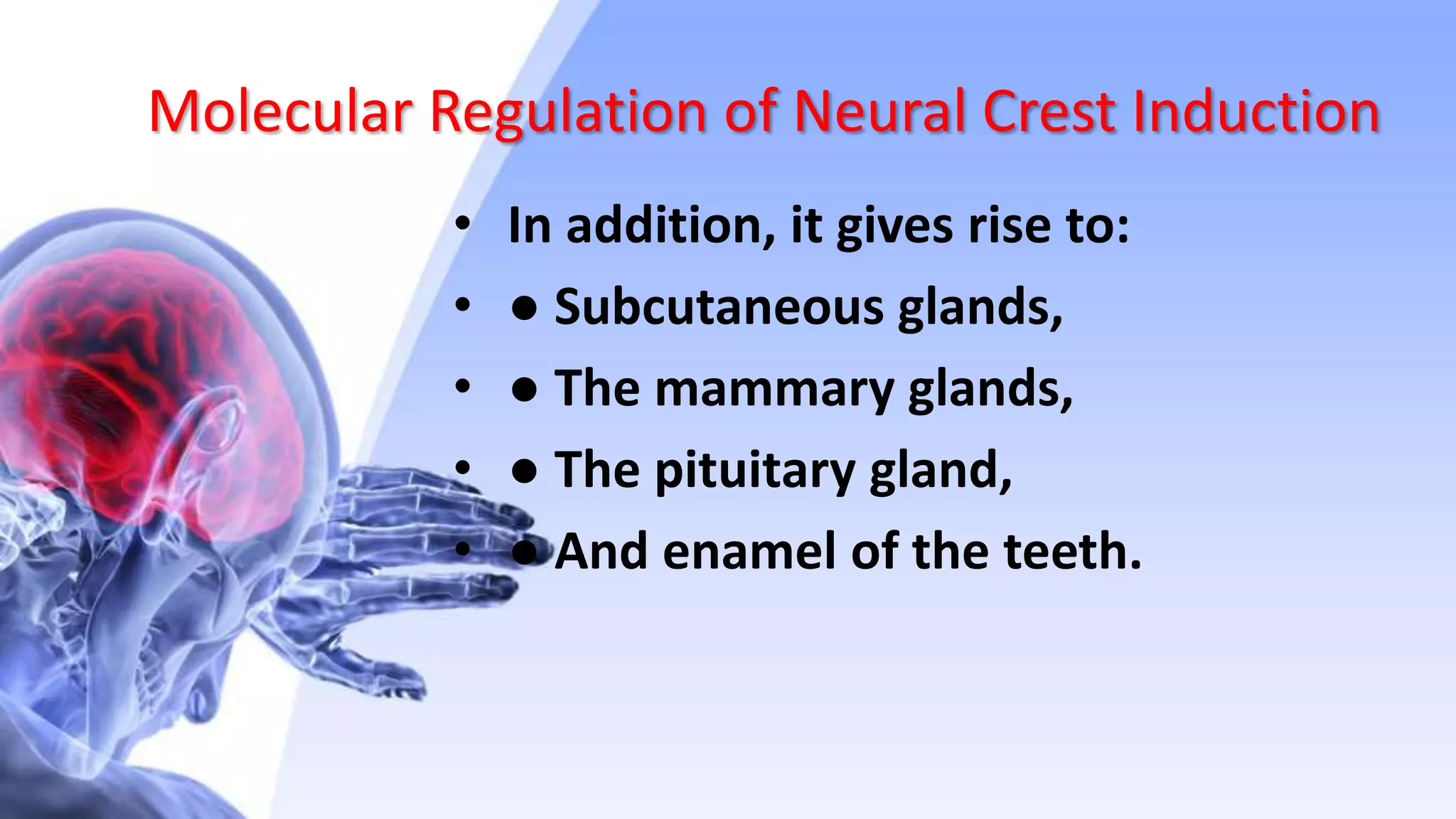 Neurulation developmental biology | PPTX
