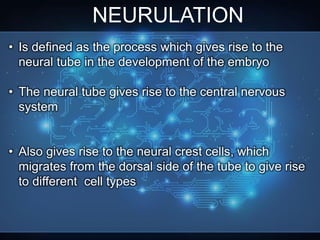 Neurulation, Formation of Nervous System.pptx
