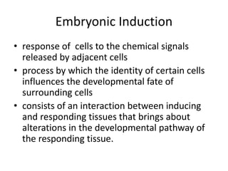 Neurulation, Formation of Nervous System.pptx