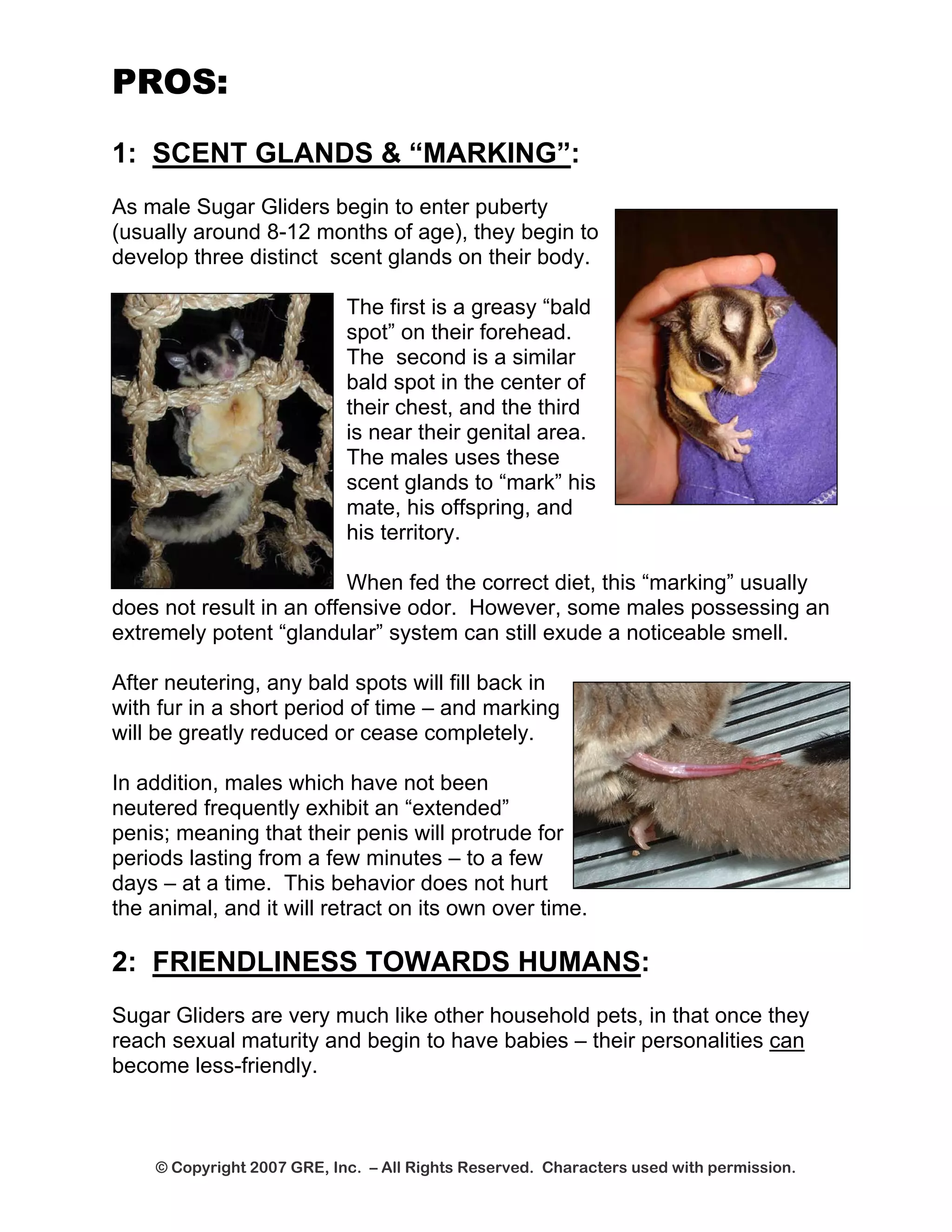 Neutering report | PDF