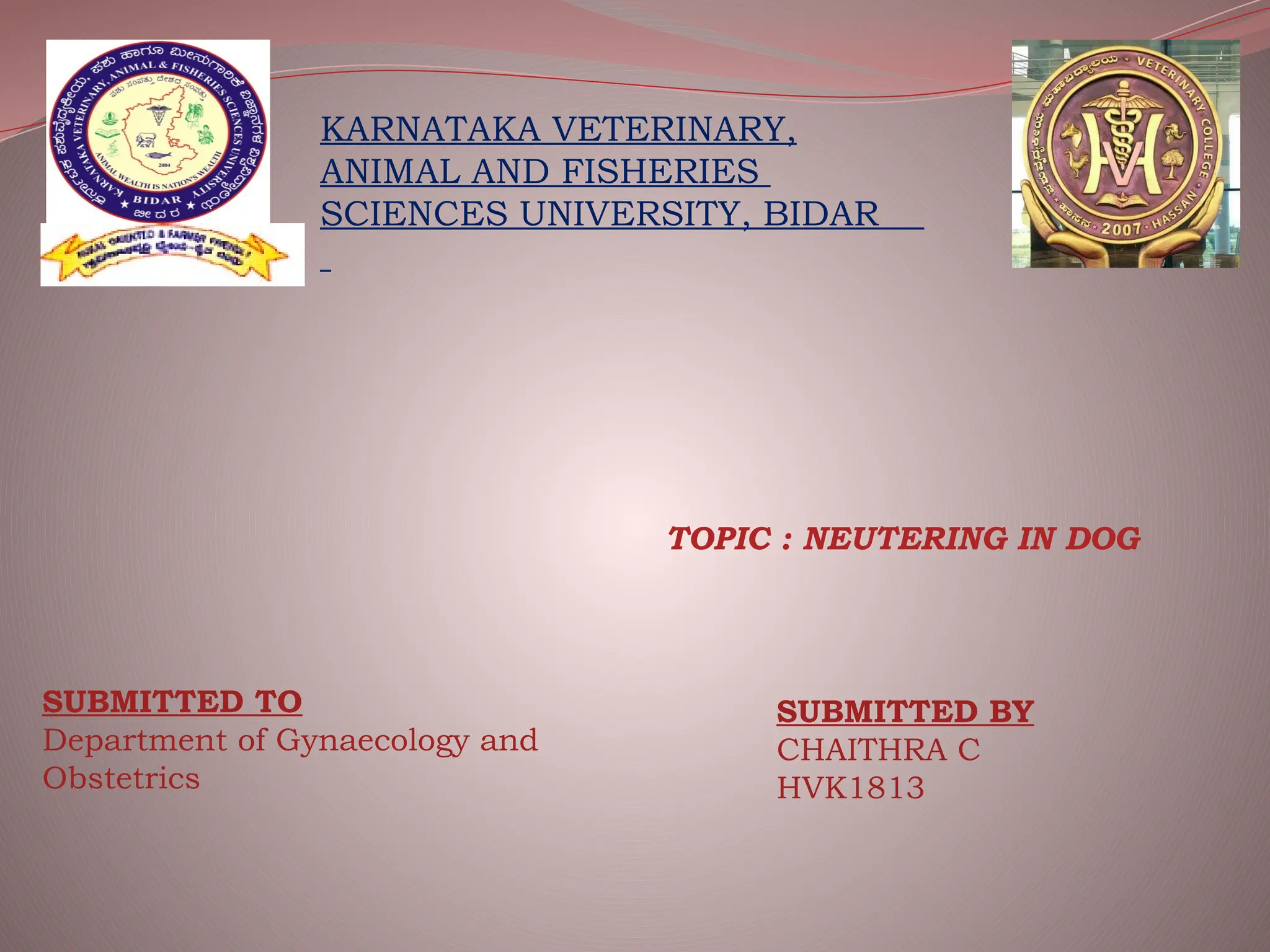 Neutering in dog HVK-1813 or castration in dog | PPTX