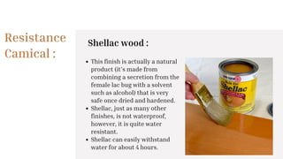 Neutral Colors (1).pdf