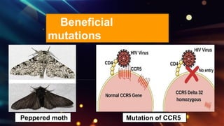 Neutral Evolution, molecular divergence and molecular clock-New.pptx