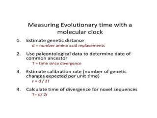 Neutral theory of evolution | PPTX