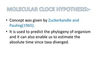 Molecular Clock Hypothesis