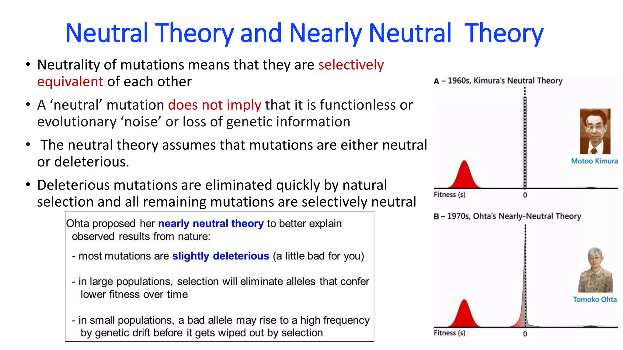Neutral theory 2019 | PPTX