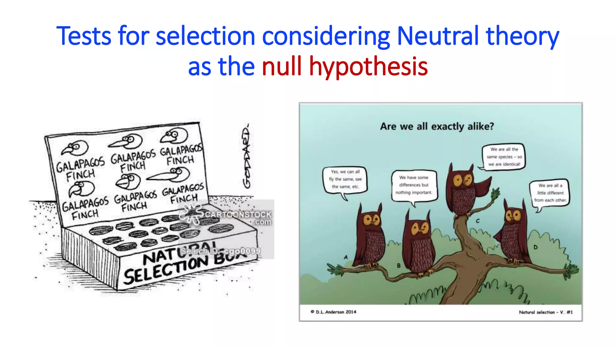 Neutral theory 2019 | PPTX