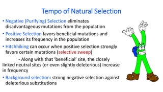 Neutral theory 2019 | PPTX