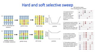 Neutral theory 2019 | PPTX