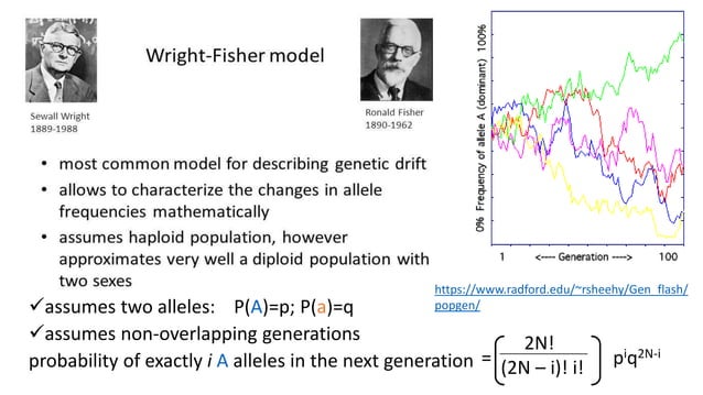 Neutral theory 2019 | PPTX | Genetics | Science