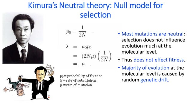 Neutral theory 2019 | PPTX | Genetics | Science