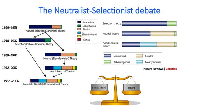 Neutral theory 2019 | PPTX | Genetics | Science