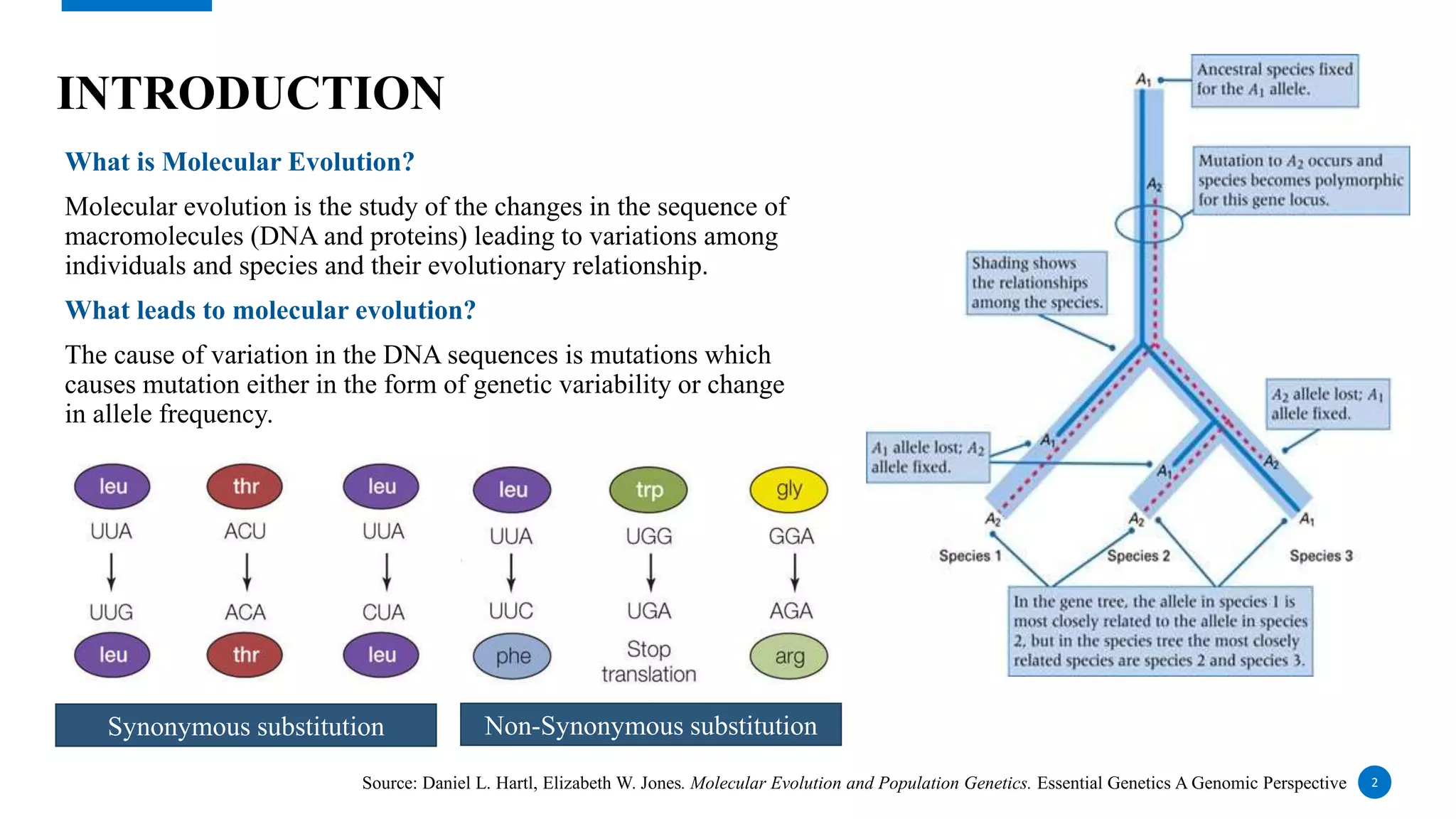 Neutral theory of molecular evolution | PPTX