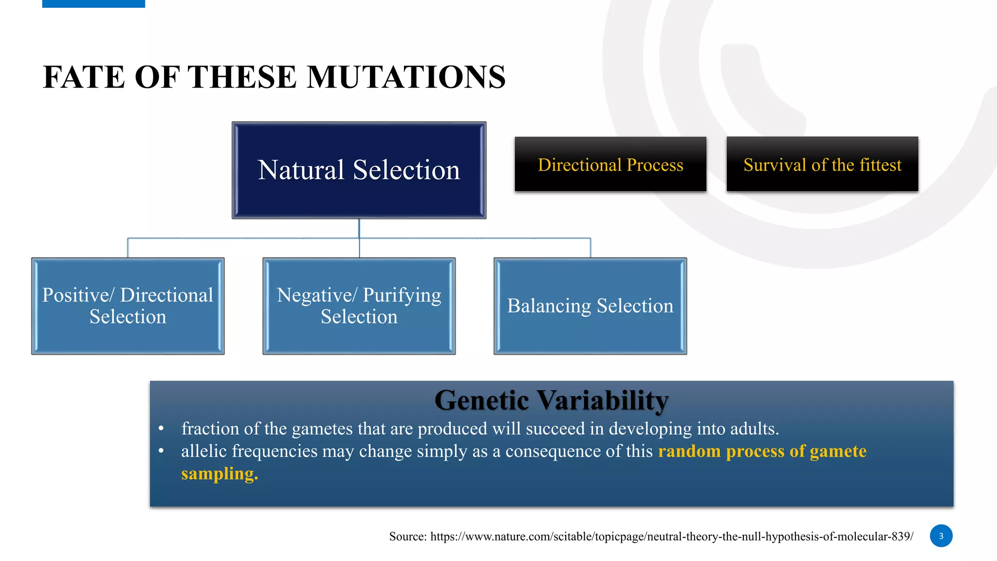 Neutral theory of molecular evolution | PPTX