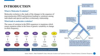 Neutral theory of molecular evolution | PPTX