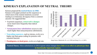 Neutral theory of molecular evolution | PPTX