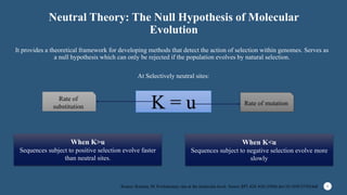 Neutral theory of molecular evolution | PPTX