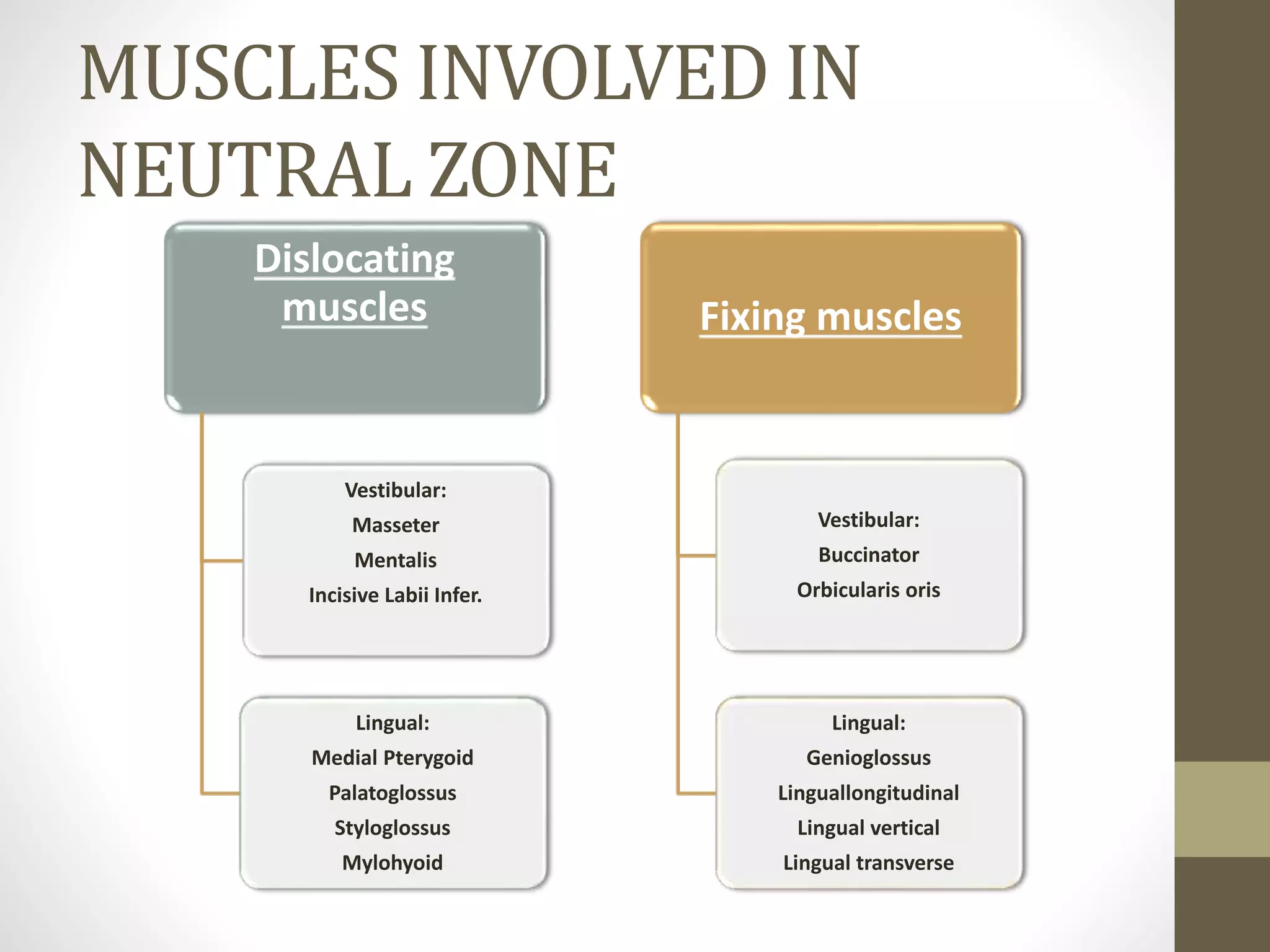 Neutral zone in complete dentures | PPTX