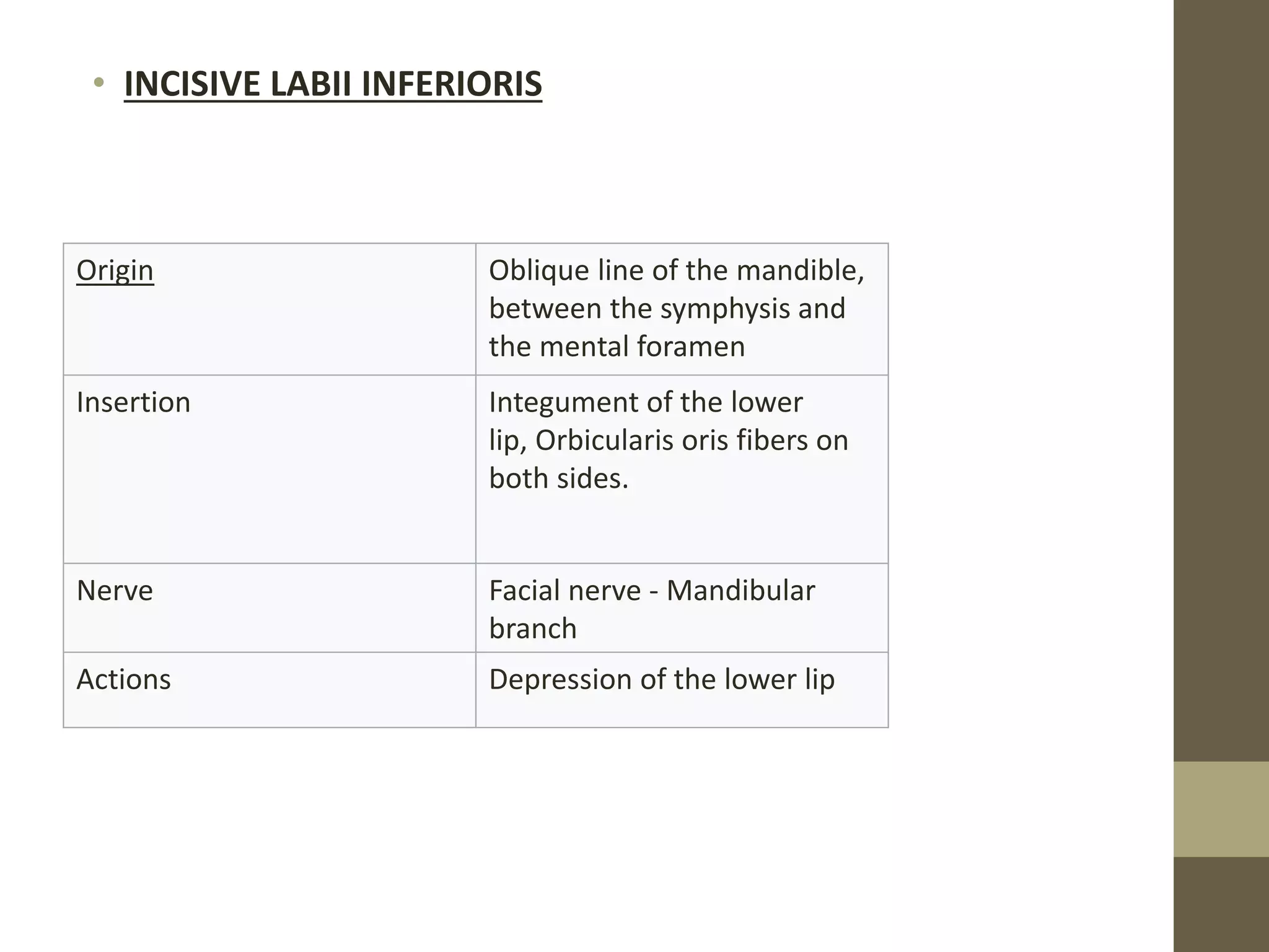 Neutral zone in complete dentures | PPTX