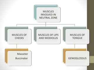 Neutral zone in complete dentures | PPTX