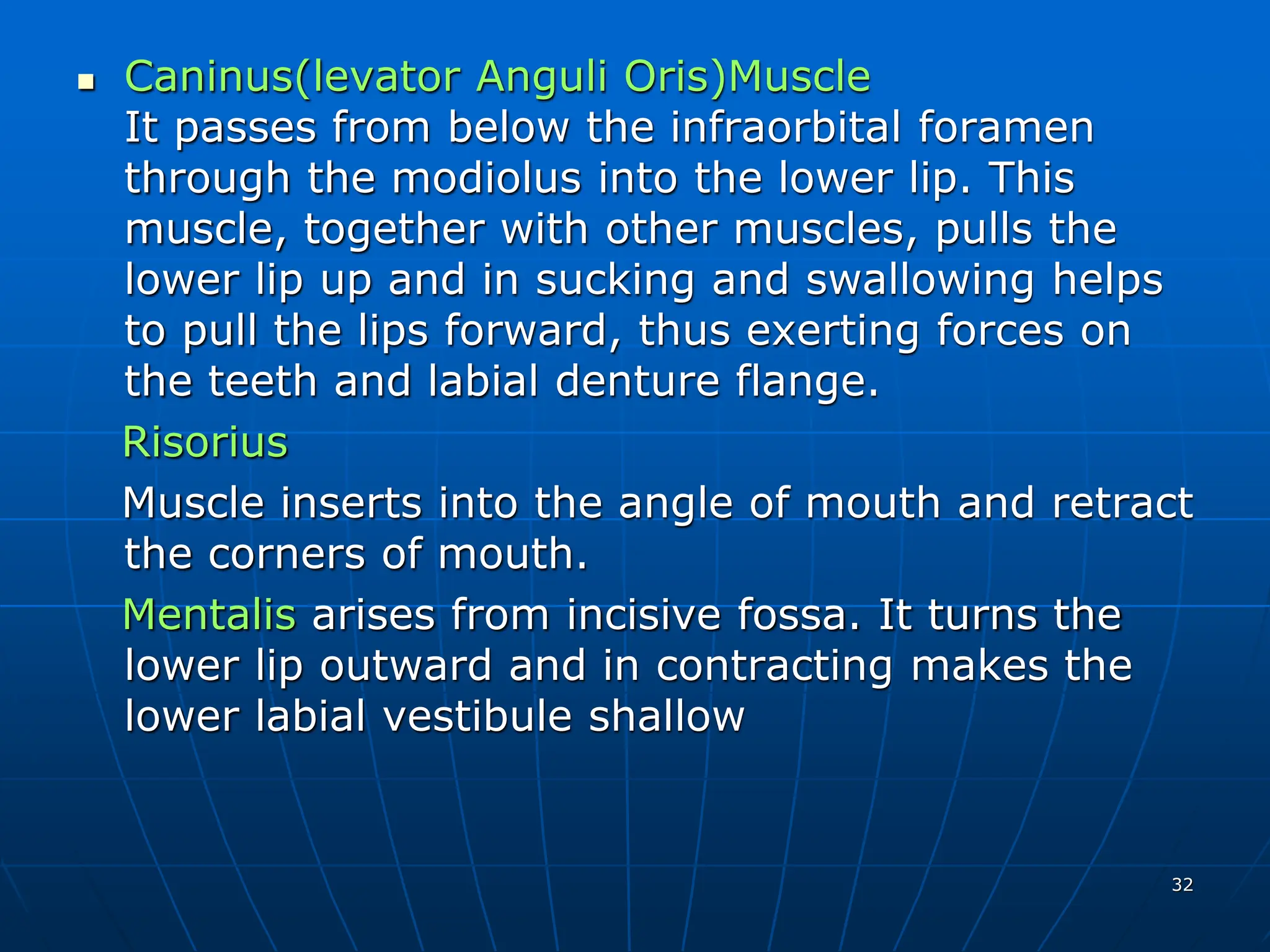 Neutral Zone In Prosthodontics part 1.ppt
