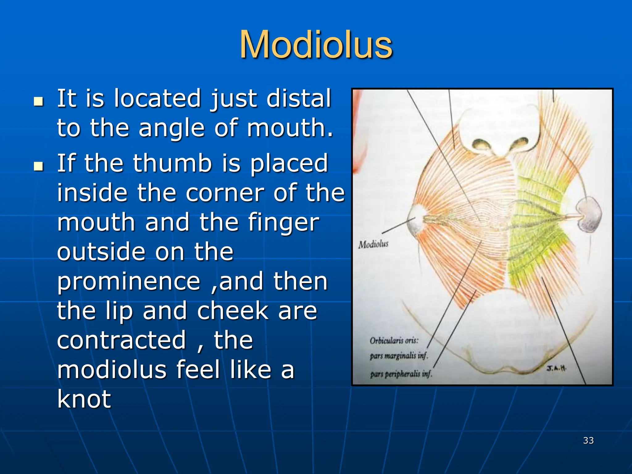 Neutral Zone In Prosthodontics part 1.ppt | Ear, Nose and Throat ...