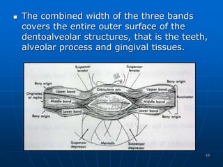 Neutral Zone In Prosthodontics part 1.ppt