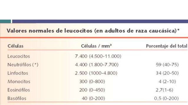 Neutrofilos