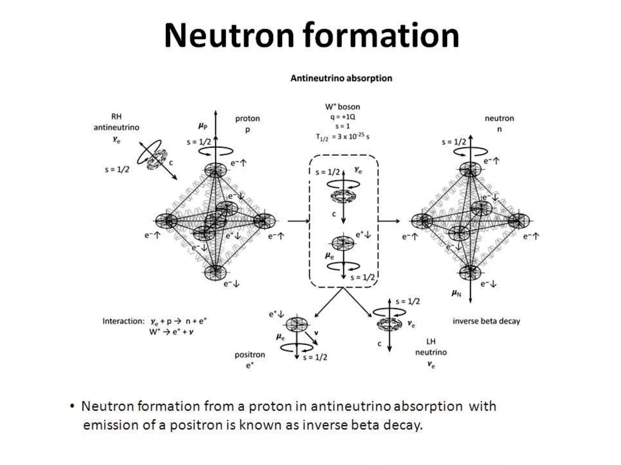 Neutrino | PPSX