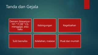 NEUTROFIL-LIMFOSIT RATIO (NLR) Edit.pptx