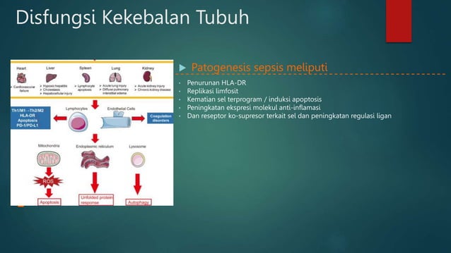 NEUTROFIL-LIMFOSIT RATIO (NLR) Edit.pptx
