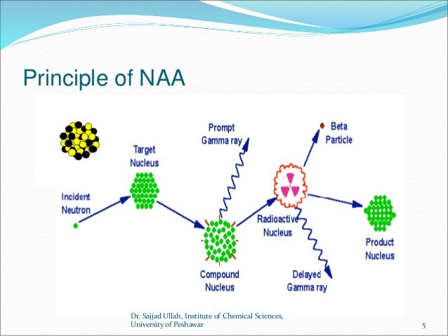 Neutron activation analysis (NAA)
