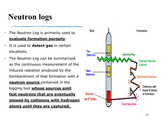 Neutron Porosity Logging Tool