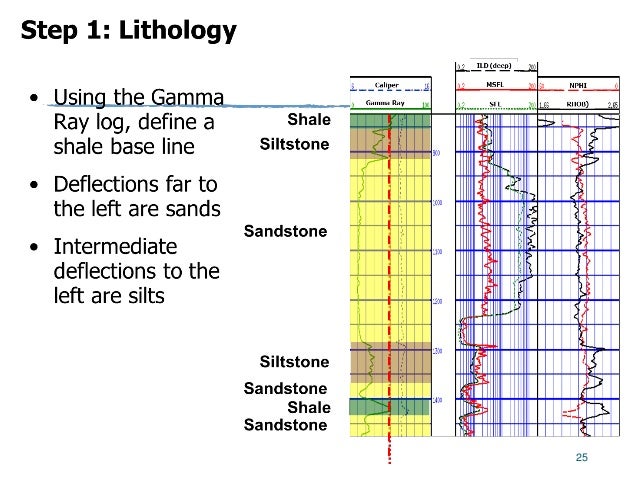 Neutron density and sonic logs