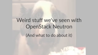 Weird things we've seen with OpenStack Neutron | PDF