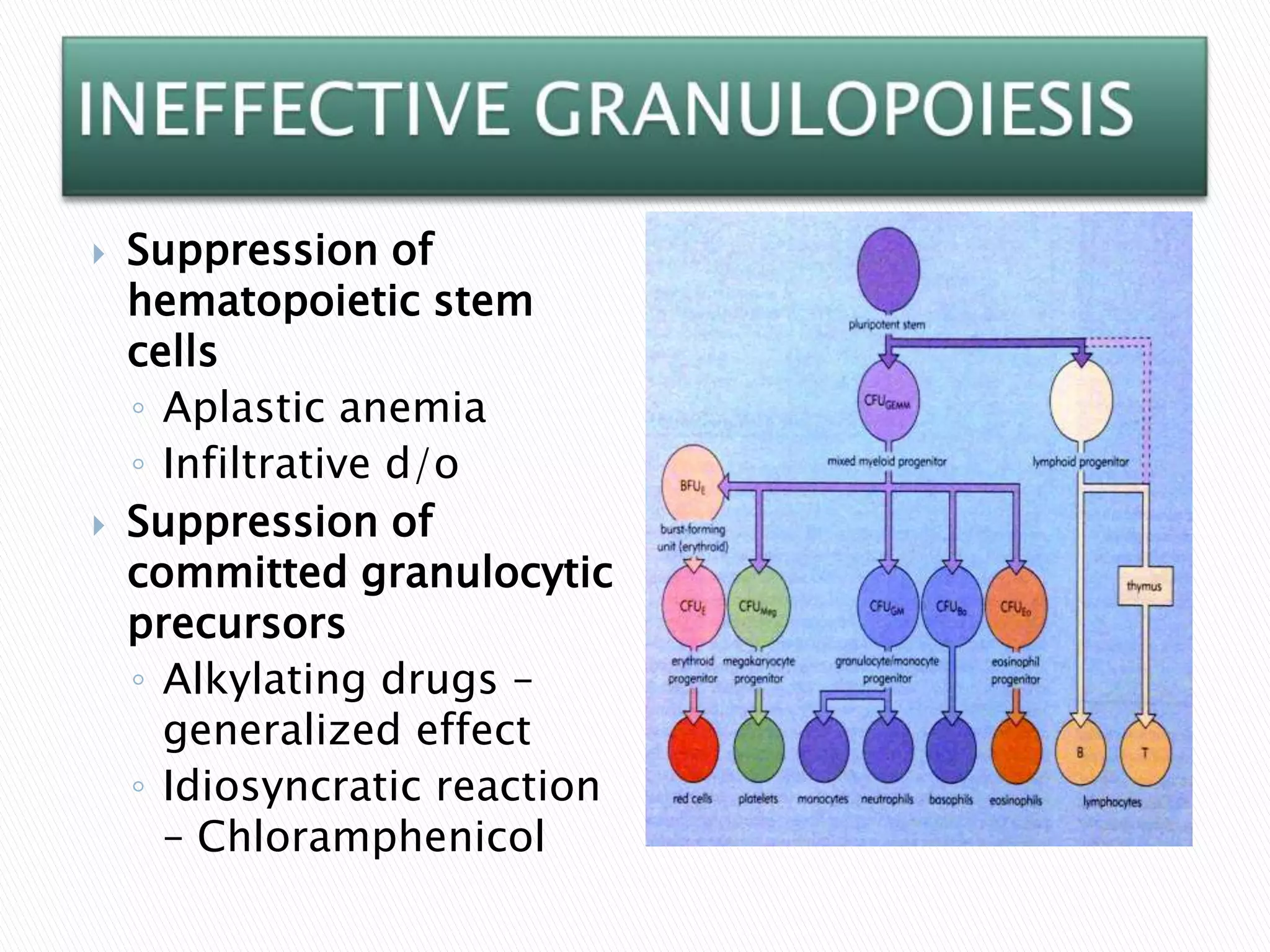 Neutropenia, Agranulocytosis | PPTX