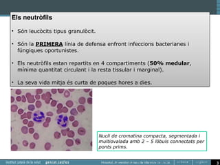 Neutropènia en pediatria 2017 | PPT