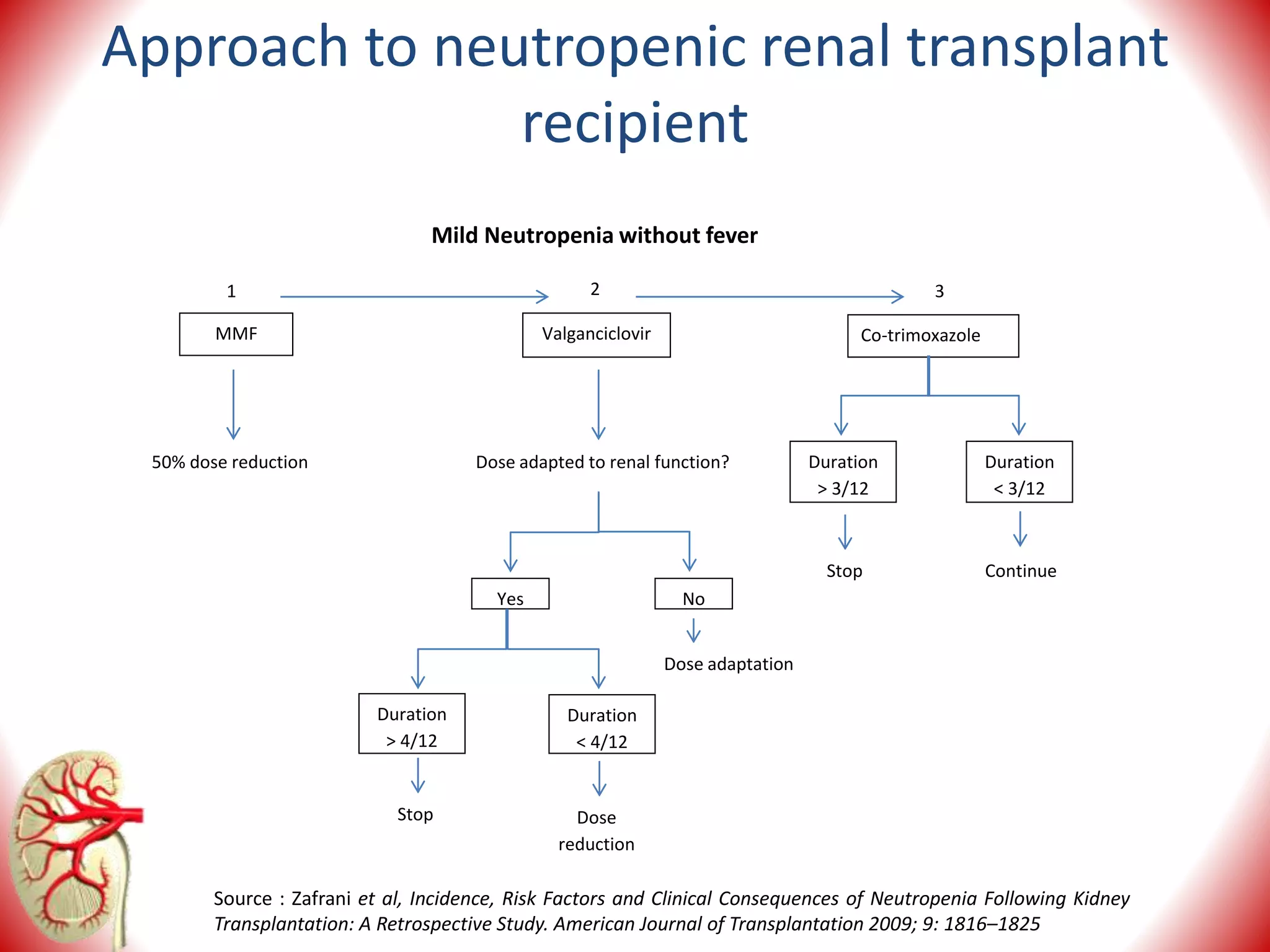 Neutropenia in kidney transplant recipient | PPT