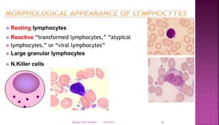 Neutropenia & Lymphopenia.ppt