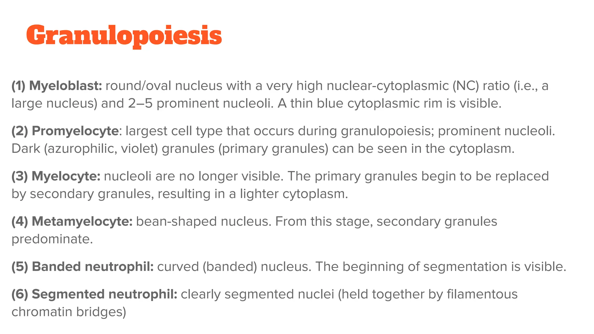 neutrophil.pptx
