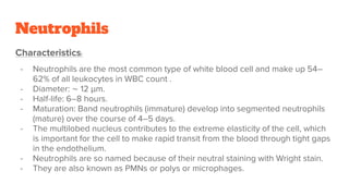 neutrophil.pptx