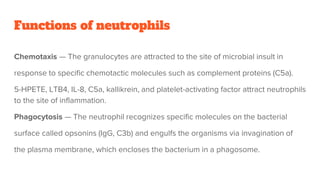 neutrophil.pptx