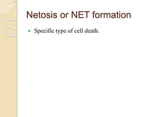 Neutrophil extracellular trap | PPTX